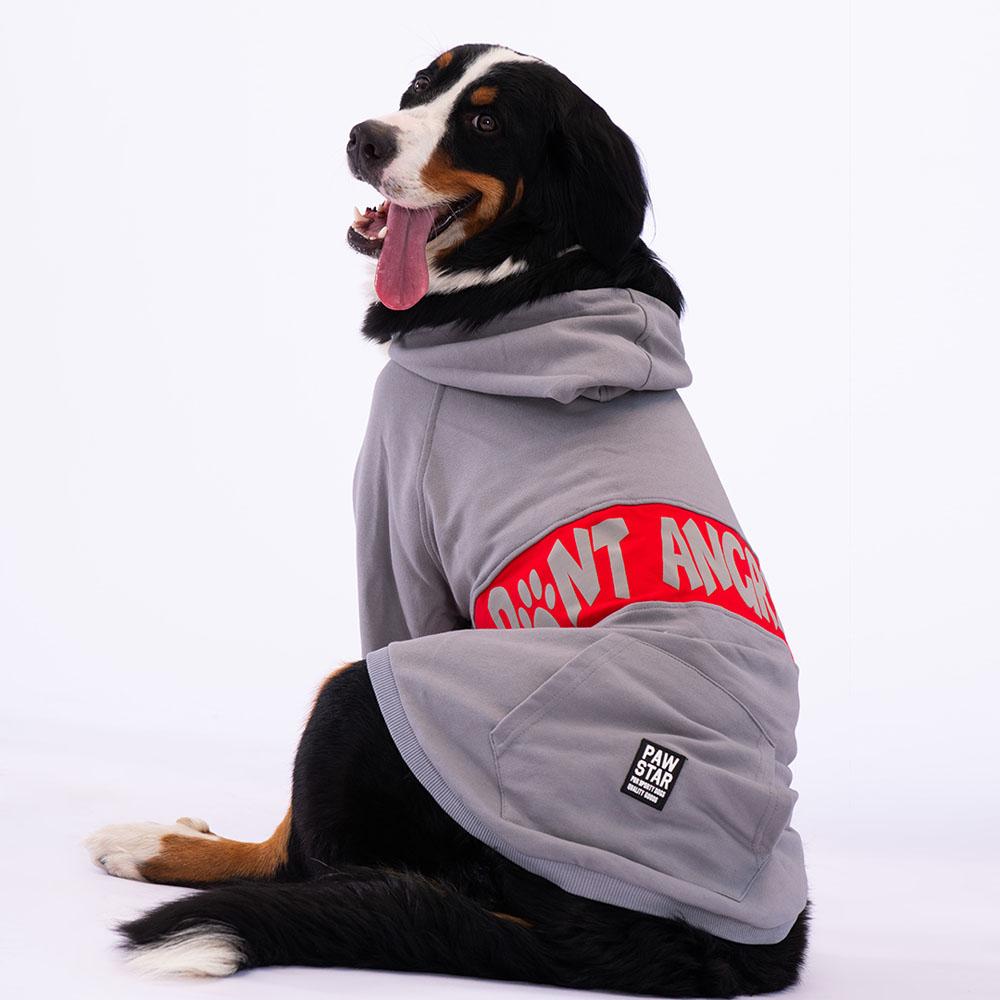 paw-23251 gri angry dog büyük ırk ceket 6XL beden - PawStar